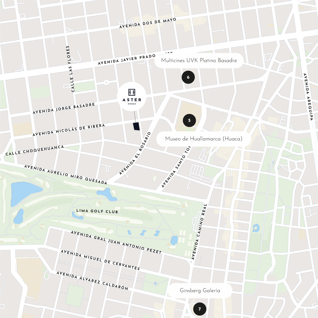 Proyecto Basadre - Aster Homes